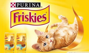 第一加盟网-品牌连锁代理店_创业项目_招商加盟信息平台 dyjm.com